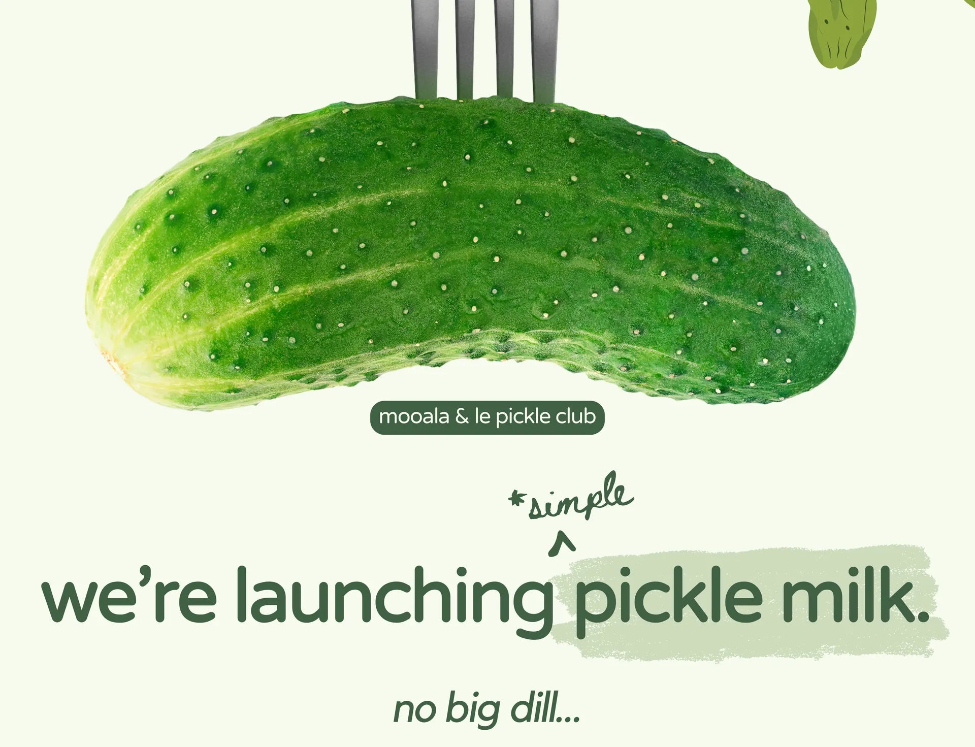 April Fools' Day 2025 Pranks: Grass Keyboard, Catnip Car Seats, 5-Year ...